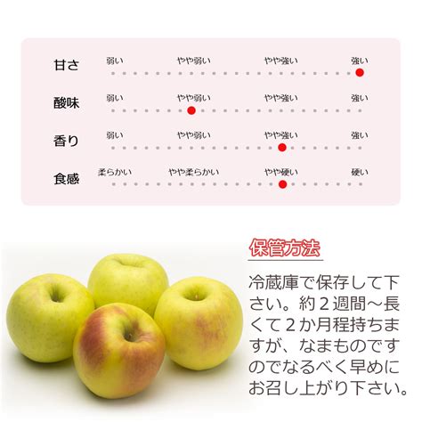 【楽天市場】【先行予約 ご家庭用 ぐんま名月】 りんご リンゴ 送料無料 林檎 Ringo 数量限定 2025年産 青森県産りんご 青森りんご