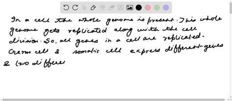 Solved Which Of The Following Is Correct About Dna Select All That