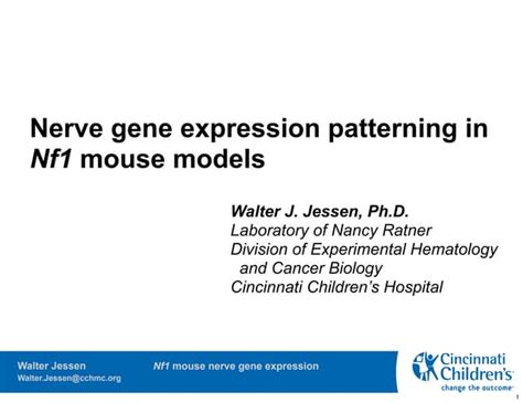 Nerve Gene Expression Patterning In Nf1 Mouse Models Pdf Brain And Nervous System Disorders