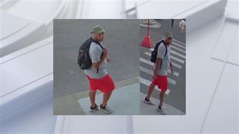 Police Armed Man Punches Woman In Face In Parking Lot Of Troy Target