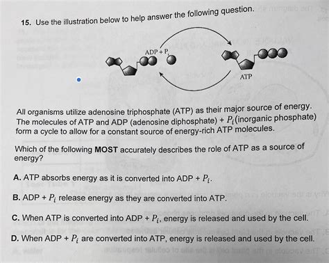 Solved All Organisms Utilize Adenosine Triphosphate Atp As Their