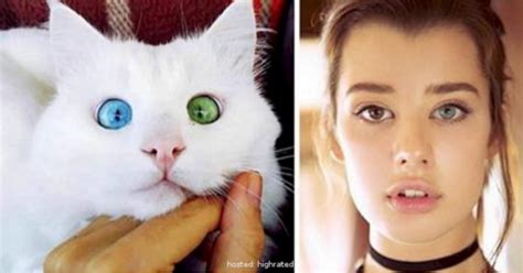 16 Photos Showing The Beautiful Mutation That Is Heterochromia ~ Fasiha