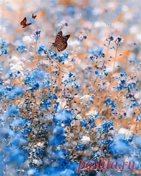 КАКОЙ СЕГОДНЯ ПРАЗДНИК 30 Апреля 2020 г Четверг • Вальпургиева ночь W Я люблю ЦВЕТЫ I ♥