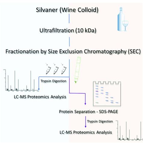 Illustrative Scheme Of The Methods Applied For The Isolation And Download Scientific Diagram