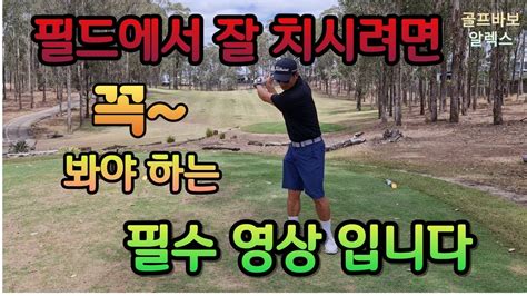 골프바보 알렉스 실전 필드 꿀팁 드라이버 프리 샷 루틴 Approach Tips 벙커샷 맞바람 아이언 샷 Youtube