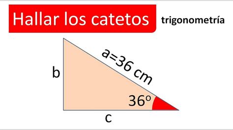 Hallar Los Catetos Conocemos La Hipotenusa Y Un Ángulo Trigonometría