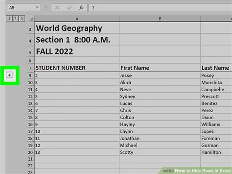 How To Hide Rows In Excel Steps With Pictures WikiHow