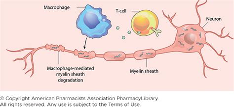 Microphage Pharmacylibrary