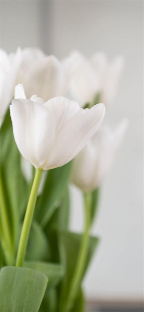 屏保 高清图片，堆糖，美图壁纸兴趣社区