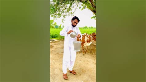 Episode 1 Lalach Buri Bala Hai 👌 Viral Shorts Youtubeshorts