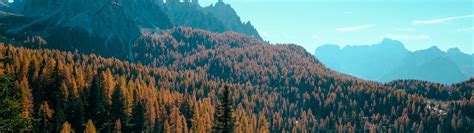 Dual Monitor Autumn Wallpapers Top Free Dual Monitor Autumn