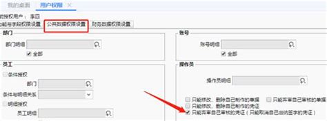 畅捷通T 如何弃审他人审核的凭证