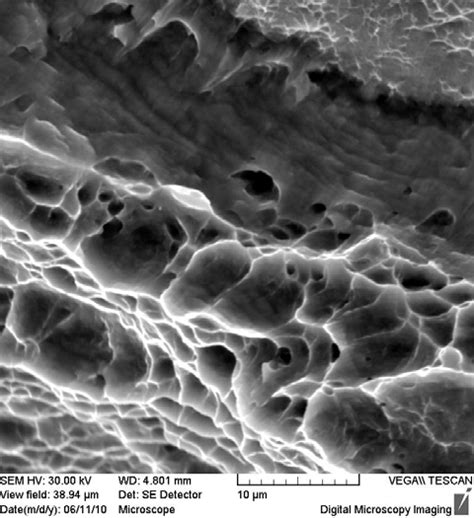 Sem Fractography Of Recrystallized Ti 25ta 25nb Alloy Download Scientific Diagram
