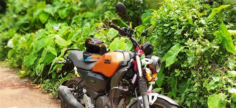 Yamaha Fz X Price Mileage Specifications Colors Top Speed And Services