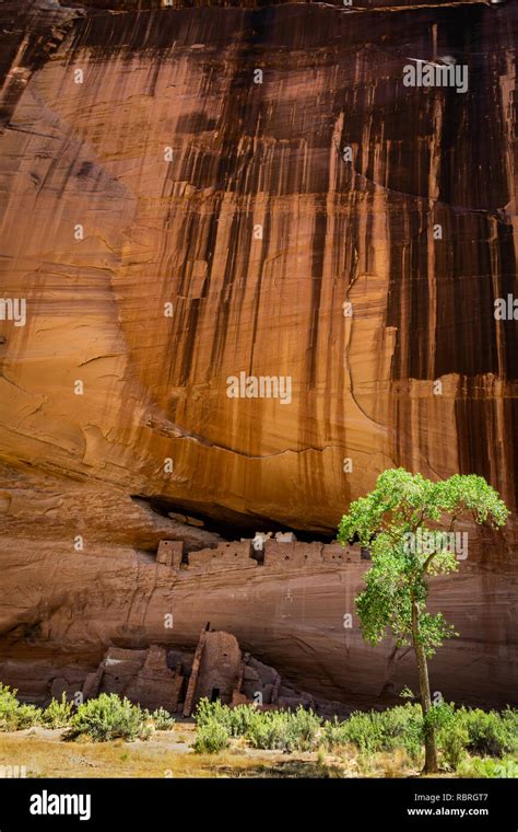 White House Ruin Is Sheltered By Natural Caves In The Cliffs Of Canyon