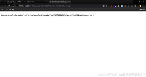 bugku ctf web——upload 0 bugku的upload 0 csdn博客