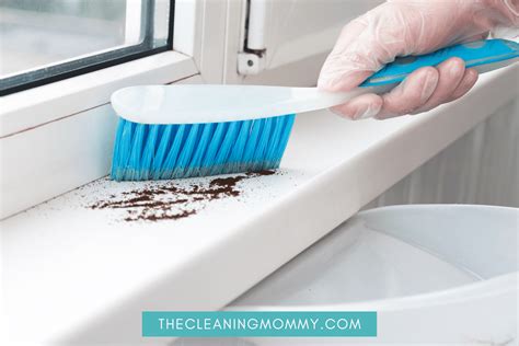 Mastering How To Clean Window Sills For Shiny Results The Cleaning Mommy