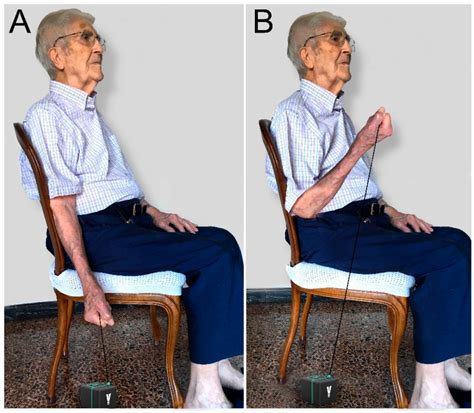 Power Elbow Flexion Pef Test Procedure The Procedure Consists Of