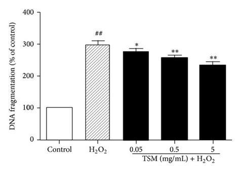 Effect Of Tsm On The Dna Fragmentation In H2o2 Treated Pc12 Cells The