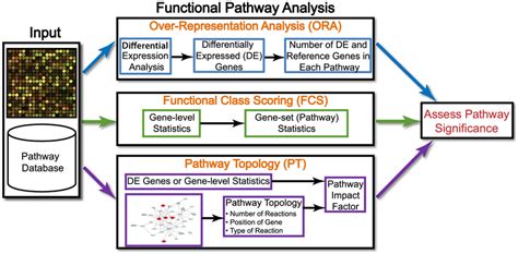 Overview Of Existing Pathway Analysis Methods Using Gene Expression Download Scientific Diagram