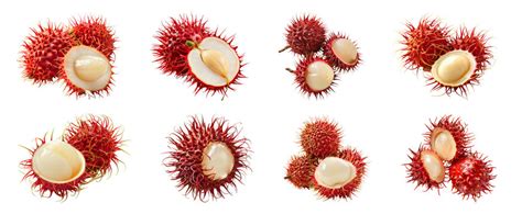Hairy Fruit Images Browse Stock Photos Vectors And Video Adobe Stock