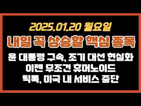 25 01 19 일 내일 핵심 테마 종목 윤 대통령 구속 조기 대선 현실화 이젠 무조건 휴머노이드 틱특 미국 내 서비스