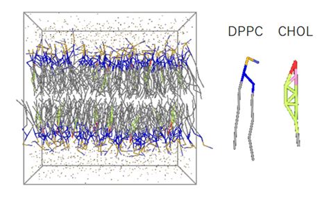 Coarse Grained Models For Lipid Membranes Dhio Research And