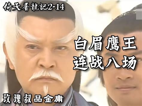 九阳神功花落谁家？武当山顶松柏长【玫瑰叔品倚天 2】 Fuji玫瑰叔 玫瑰叔讲倚天屠龙记 哔哩哔哩视频