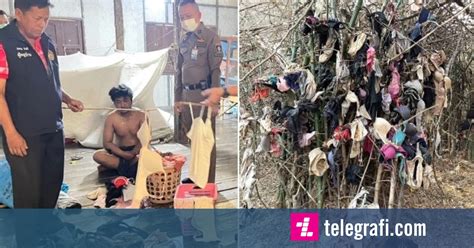 Thai Man Stole 67 Women S Underwear To Hang On The Masturbation Tree