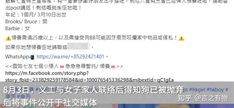 家人扔掉女子收养的流浪狗致女子被解雇，流浪狗危害周边居民 知乎