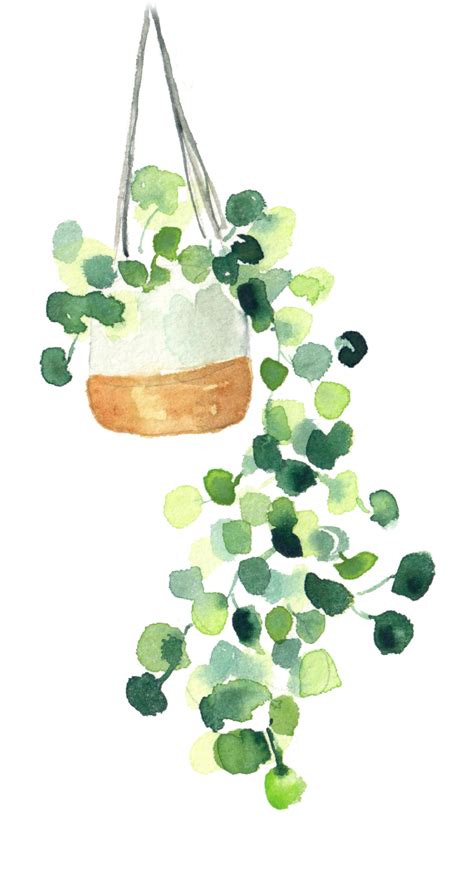 Tutoriel Aquarelle Facile Sapins En 5 Minutes Bonjour Couleurs