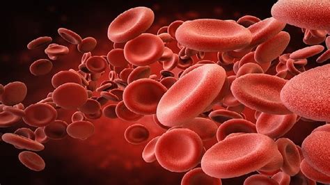 Vegetarian Foods To Increase Platelet Count In Body