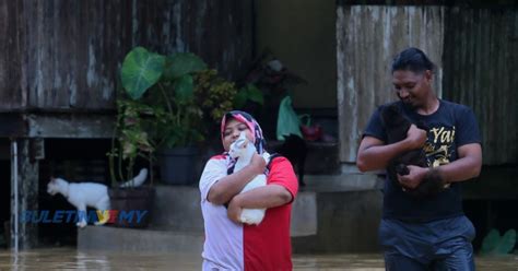 VIDEO TERKINI Jumlah Mangsa Banjir Di Terengganu Meningkat BULETIN