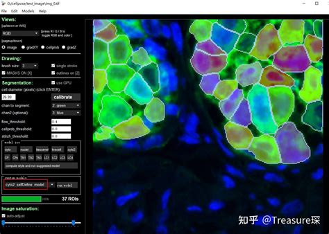 Cellpose 利用自己的数据训练模型 知乎