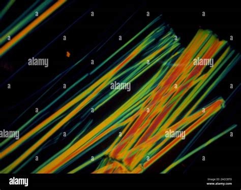 Polarised Light Micrograph Of Ends Of Chrysotile Asbestos Fibre Bundles