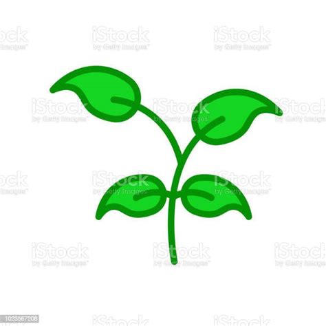 葉子圖示向量符號和符號被隔離在白色背景上 葉子標誌概念向量圖形及更多商標圖片 商標 圖示 外型 Istock