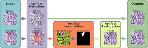 Unsupervised Histopathology Artifact Restoration With Harp