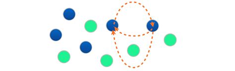 Observing Anyons 2020 Virtual Science Forum