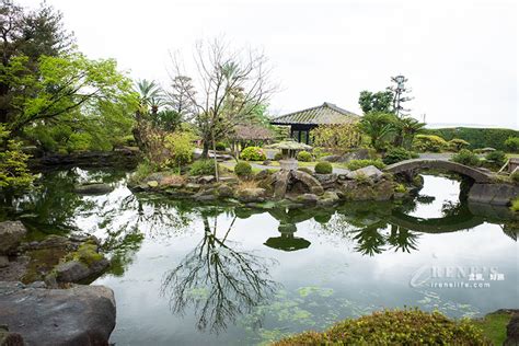 【大分景點】別府地獄溫泉攻略，八大特色溫泉一次參觀，交通套票必吃美食 Irenes 食旅．時旅