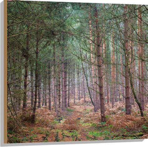 WallClassics Hout Fel Groene Takken Aan Bomen 80x80 Cm 12 Mm