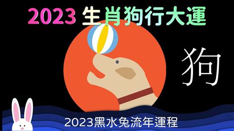 2023 生肖狗行大運 走正財運 事業騰達 黑水兔年流年運程 屬狗的運勢 財從天降 天合地合 貴人在旁 姻緣到來 難逢吉年 Youtube