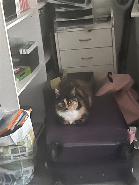 loaf r feemagers
