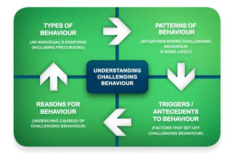 4 Reasons For Challenging Behaviour And Effective Solutions