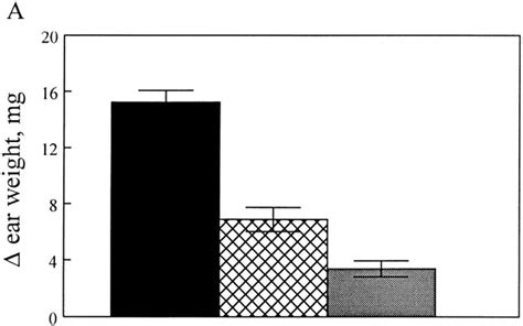 Acute Inflammatory Response To Topical Arachidonic Acid In Flap −−