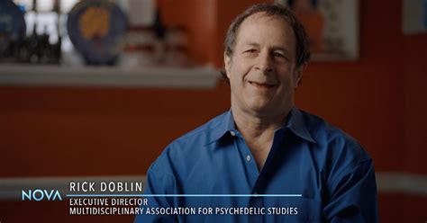 Pbs Nova Can Psychedelics Cure Multidisciplinary Association For