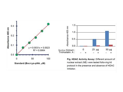 Apexbio Hdac Activity Colorimetric Assay Kit Detects Hdac Activity High Throughput