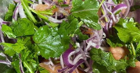 Ensaladas para acompañar pescado 413 recetas caseras Cookpad