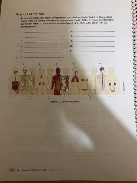 Solved Organs And Systems Review And Practice The Organs And Chegg