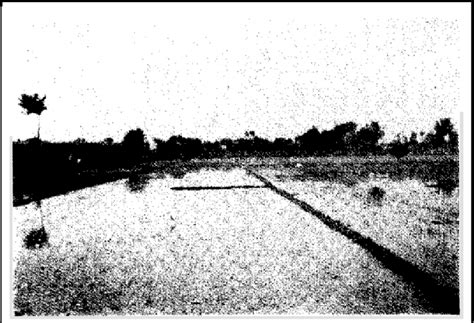 1 Basin Irrigation Method Download Scientific Diagram