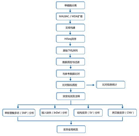 单细胞测序 山东解螺旋生物科技有限公司